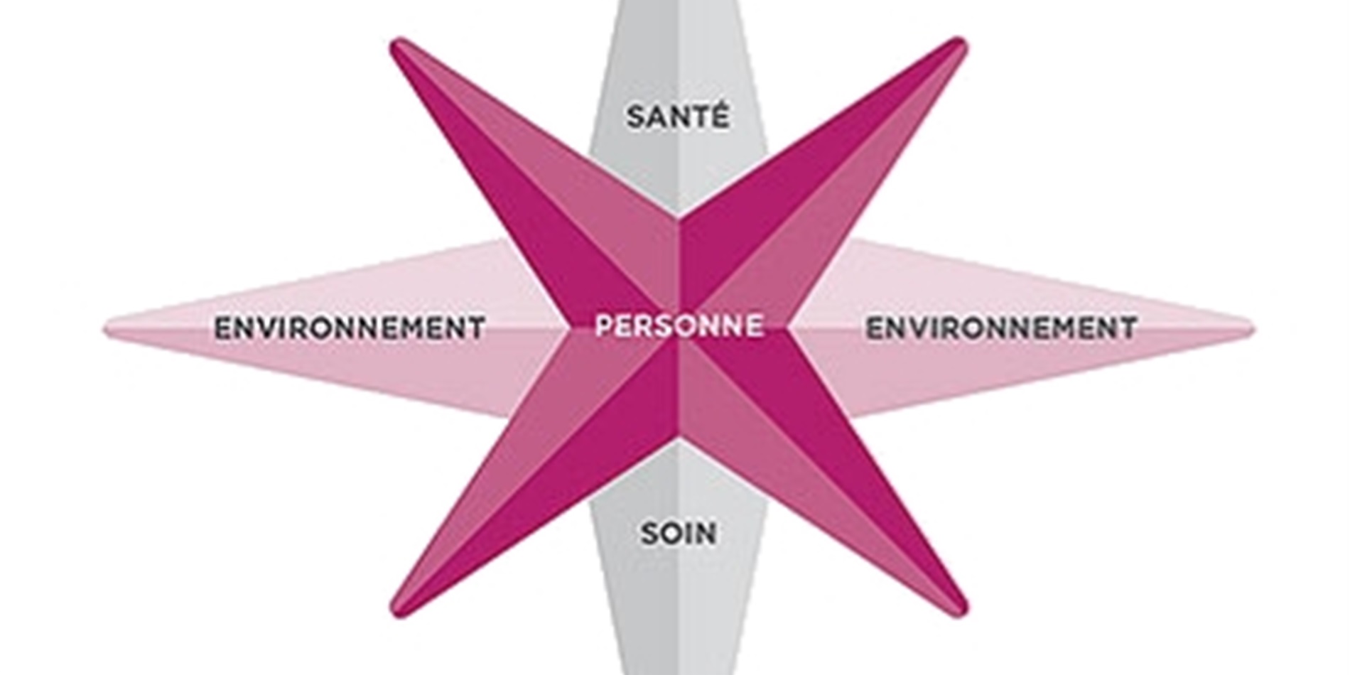 S’approprier le Modèle humaniste des soins infirmiers – UdeM | Lära LMS